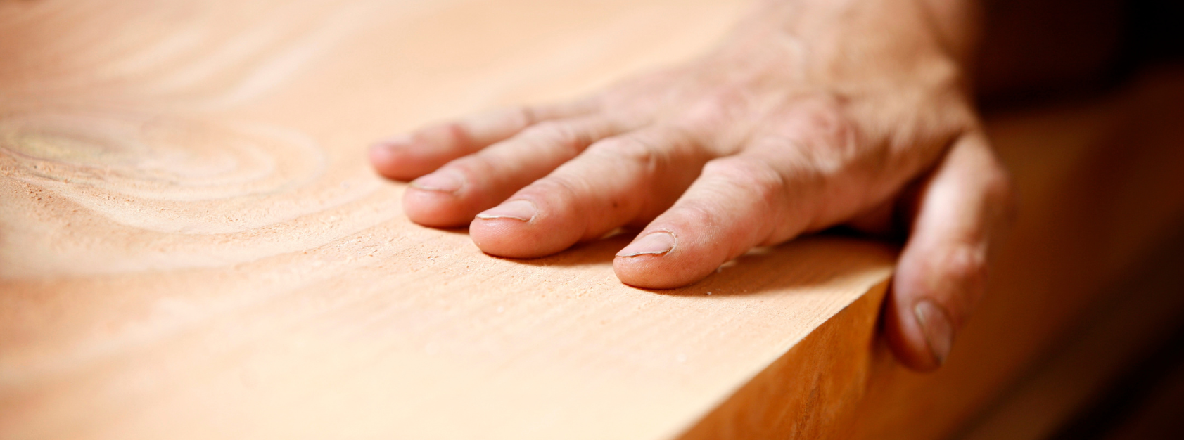 Découvrez Utile par essence : la démarche d’utilité sociétale de la filière forêt-bois ...